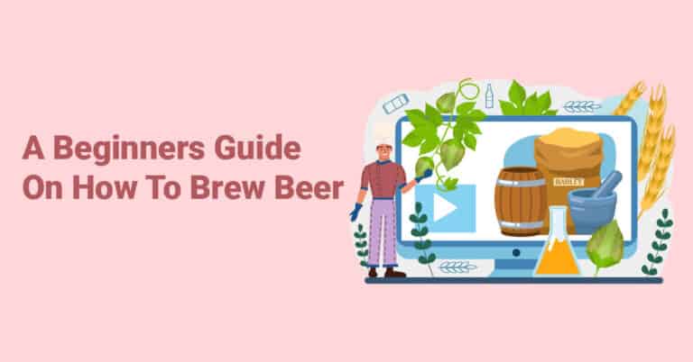 A Beginner’s Guide On How To Brew Beer - Bar and Drink