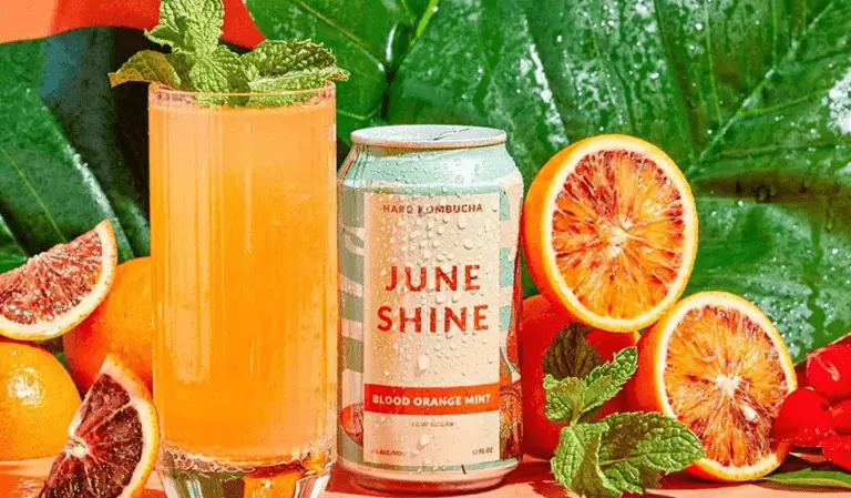 Best Puerto Rican Rums - Bar and Drink